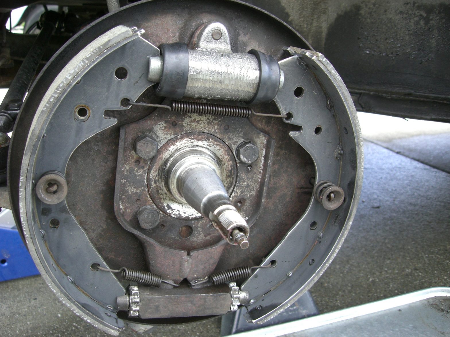 Globespotter – Survivor